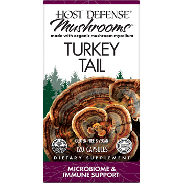 Turkey Tail – Good Medicine Ohio